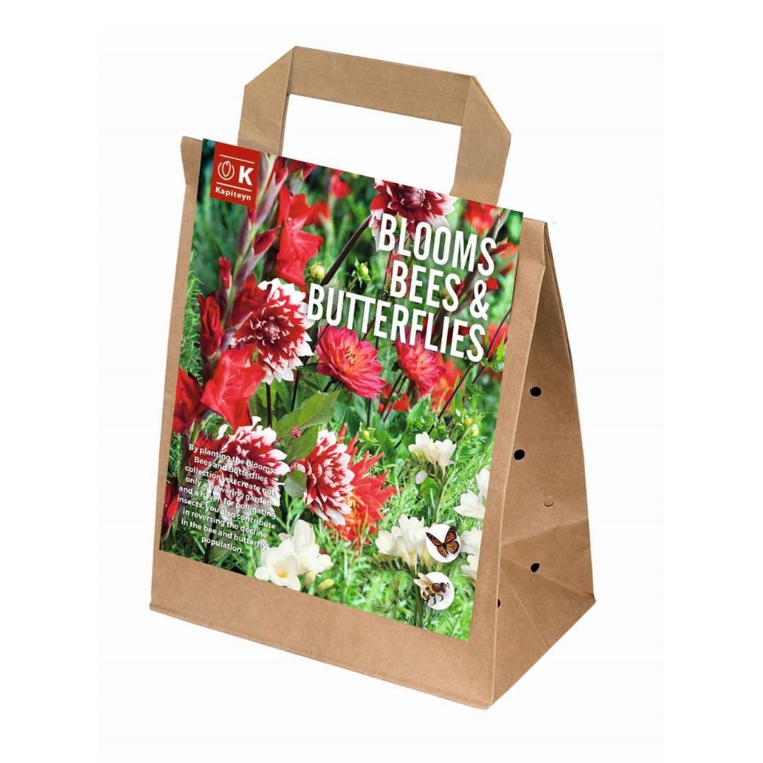 Blooms Bees & Butterflies Red-White – Pollinator-Friendly Bulbs | The ...