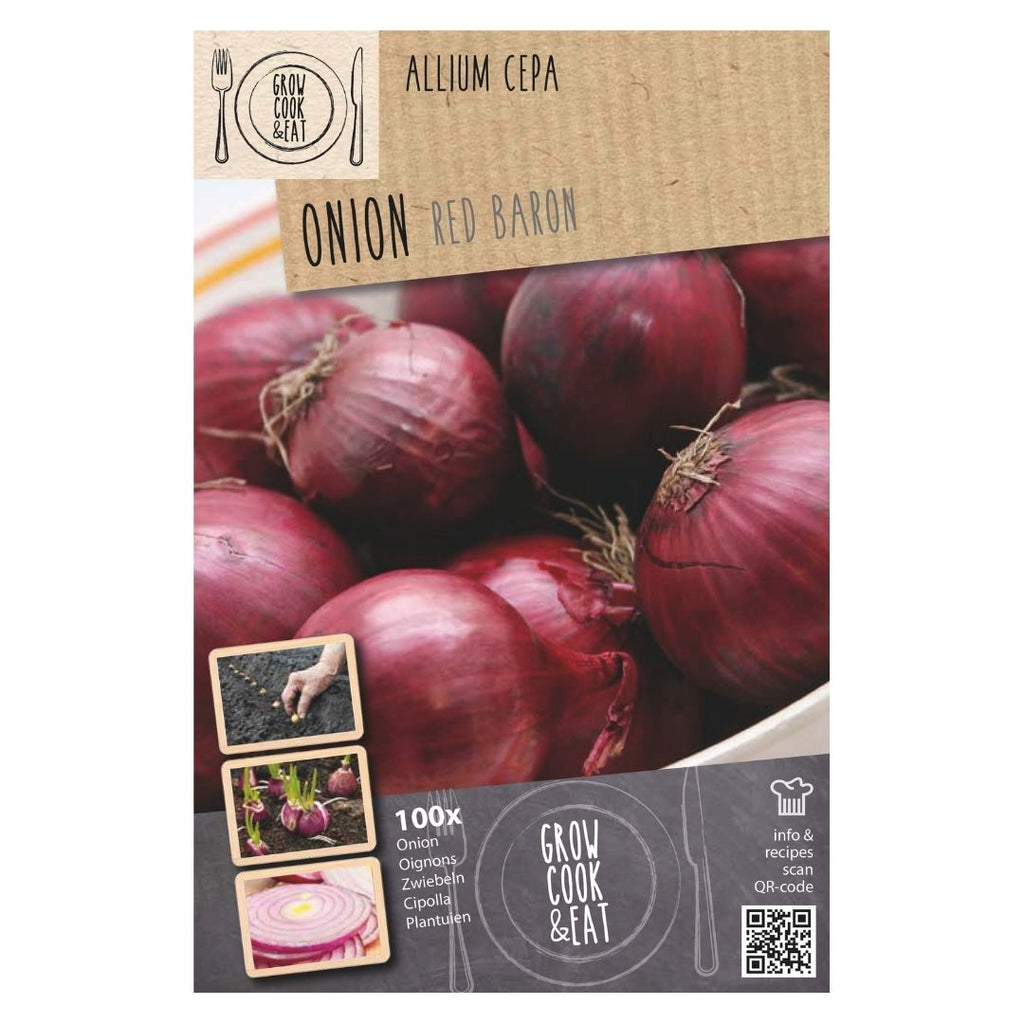 Onion Sets Red Baron 50 Bulbs | Maincrop Onion for Garden Growing